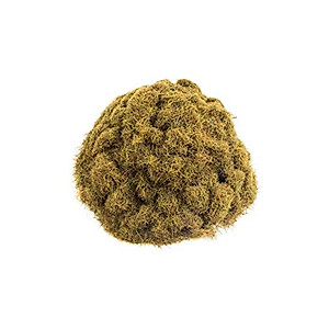War World Scenics Static Grass Starter Kit 2 – Modelling Model Railway Railroad Wargame Layout Scenery Terrain Landscape Diorama Materials Track All Gauges