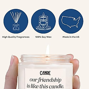 CE Craft - Smells Like A Dolphins Win Candle - Football Themed Candle, Gift for Dad, Gift for Son, Florida Gift, Florida Themed Candle, Gift for Him (Iced Vanilla Woods)