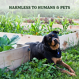 Pride Lands Defense - Organic Pest Control for Indoor & Outdoor Plants/Insect Repellent/Eliminate Mites, Gnats, Thrips, & Aphids/Safe for Pets & Children/Vegetable & Flowering Gardens, 5lb