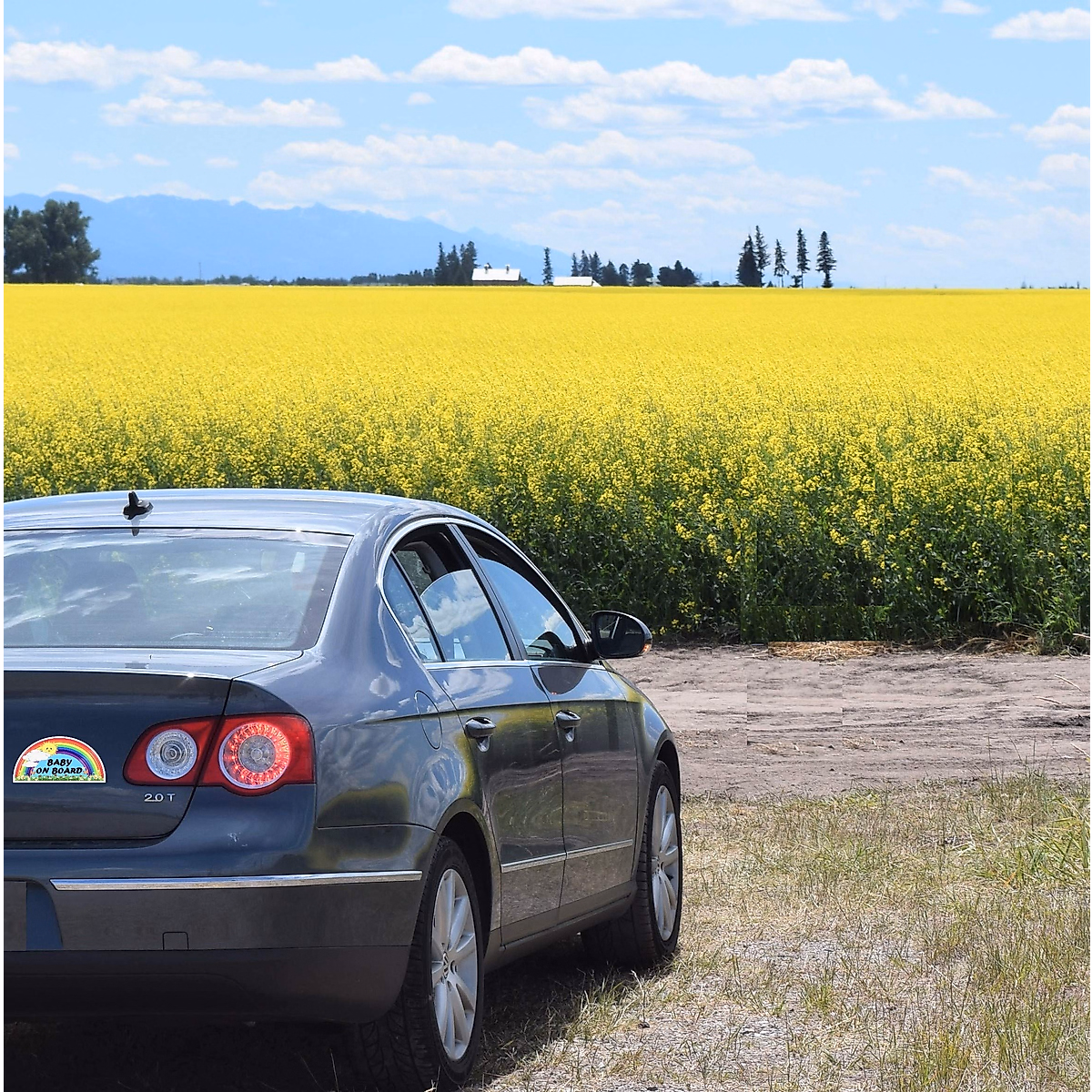 CHUBBYCHEEKS Baby on Board Magnet Sign for Car, Water Resistant, Weather Resistant with UV Protected Film (Rainbow)