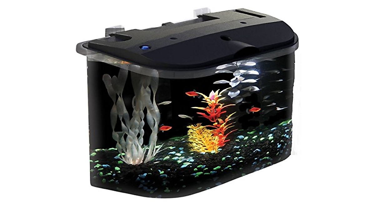 Koller 5-Gallon Aquarium Kit with LED Lighting & Filter