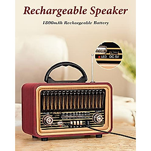 PRUNUS Retro Bluetooth Radio with Rich Bass Speakers,Loud Stereo Sound,Portable Wireless Speakers AM FM Radio with USB, TWS Pairing, BT5.0, TF Card & MP3 Player for Home/Party/Outdoor/Gift
