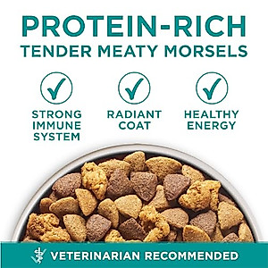 Purina One Plus Digestive Health Formula Dry Dog Food Natural with Added Vitamins, Minerals and Nutrients - (Pack of 4) 8 lb. Bags