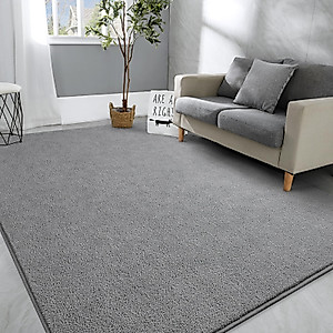 Hutha Large Area Rugs for Bedroom Living Room, 4x6 Grey Solid Fluffy Super Soft Memory-Foam Furry Bedside Carpets, Modern Indoor Floor Rug Aesthetic Minimalist Rug for Kids Girls Boys Home Decor