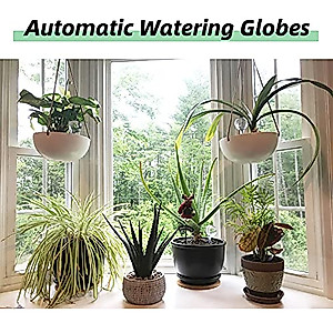 Gddochn 10 Pcs Plastic Clear Self-Watering Bulbs,Garden Plant Watering Globes,Plastic Automatic Devices Watering Globe for Indoor Outdoor Plants,Flowers