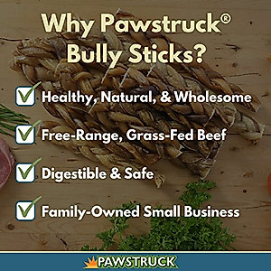 Pawstruck 5" Braided Bully Sticks for Dog (10 Pack), Pet Food Natural Bulk Dog Dental Treats & Healthy Chews, Beef Flavor, Chemical Free, 5 inch Best Low Odor Pizzle Stix