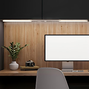 Litever Plug Under Cabinet Light Kit with Power Adapter, Dimmer, 2 pcs 12 Inch USB LED Light Bars. Dimmable Linkable for Kitchen Counter, Workbench, Coffee Station, Workspace, Closet. Daylight 5000K