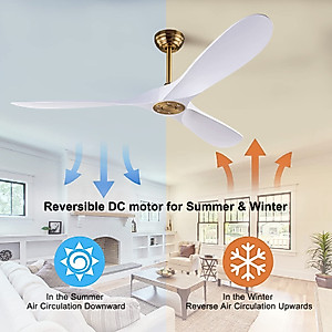 QUTWOB 60" Ceiling Fan with Remote Control No Lights,Modern Reversible DC Motor Indoor Outdoor 3 Blades Ceiling Fans for Patio Bedroom Living Room(Gold+White)