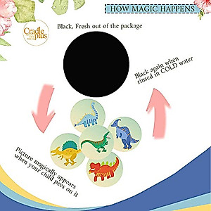 Potty Training Seat Magic Sticker | Dinosaur toddler Potty Training Toilet Color Changing Sticker | 5 Pack Toilet targets with FREE potty e book | Use with or Without Potty chart or potty watch