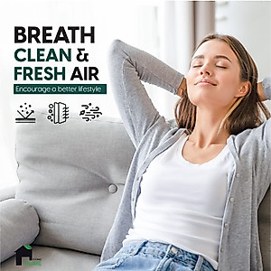 EconoHome 20x25x4 AC Furnace Pleated Air Filter MERV 11 Replacement – Allergen Defense, 2 Pack, Fits Lennox (X6673), Honeywell (FC100A1037) filters. (Actual size: 19.94 x 24.86 x 4.36 Inches)