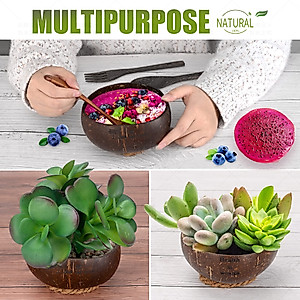 Nonaka Coconut Bowl Set - Wooden Smoothie Bowls And Spoons Are Perfect For Your Dinnerware - Coconut Bowls And Wooden Spoon Sets Contain Fork, Soup Spoons, Bamboo Straw & Cutlery Carrying Pouch