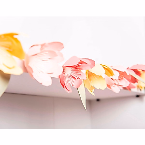 Sizzix Thinlits Die Set 8 Pack Tulip by Jennifer Ogborn, Multicolor