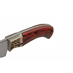 Redtail Stainless Steel Blade Wood Handle Stag Bolster 9 inch Hunting Knife