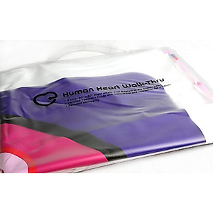 American Educational Human Heart Walk-Thru Mat, 60" Length x 50" Width