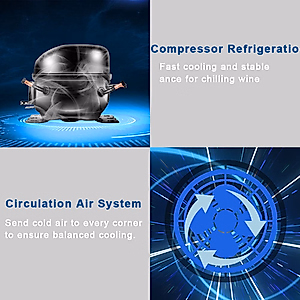 Winado Wine Cooler Refrigerator, 28 Bottle Freestanding Compressor Wine Cooler w/Digital Temp Control, Mini Wine Fridge with Double-Layer Glass Door & Removable Shelves