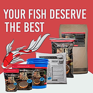 Blue Ridge Koi Fish Food 2lb - Koi Food Mini Growth Formula Goldfish Food, Premium Fish Food for Ponds, Ponds Fish Food, Koi Food Fall and Winter Fish Food, Floating Pond Pellets Fish Food