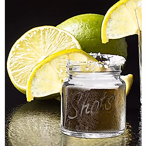 Palais Glassware Palais 'Shots' Mason Jar Shot Glasses - Mini Shot Glass Cups - Holds 2.4 Oz - Set of 6 (Clear)