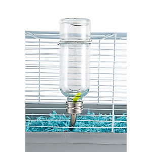 Lixit Chew Proof Flat Sided Water Bottles for Rabbits, Ferrets, Rats, Birds, Hamsters, Guinea Pigs, Chinchillas Gerbils and Other Small Animals (6oz)