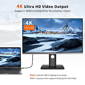 CableCreation 2 in 1 USB C Cable Bundle with USB C Cable 10Gbps 1FT