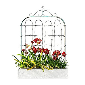 Barbed Wire Roll - Razor Barbed Wire Fence for Outdoor, Repellent and Crafts, 25 feet 18 Gauge 4 Point Barb Wire