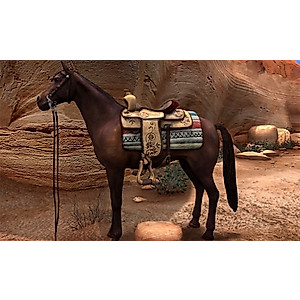 Nancy Drew: The Secret of Shadow Ranch - PC