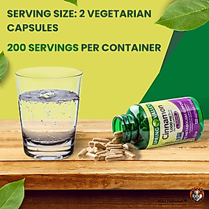 Wild Hamster Spring Valley Cinnamon Capsules 1000mg, 400 Count Bundle with Exclusive Keychain Pill Holder & Sticker (3 Items)