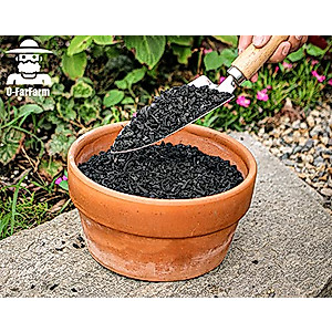O-FarFarm Horticultural Charcoal for Potted Plants 1 QT, Hardwood Charcoal for Potting Soil Amendment, Orchids, Terrariums, and Gardening