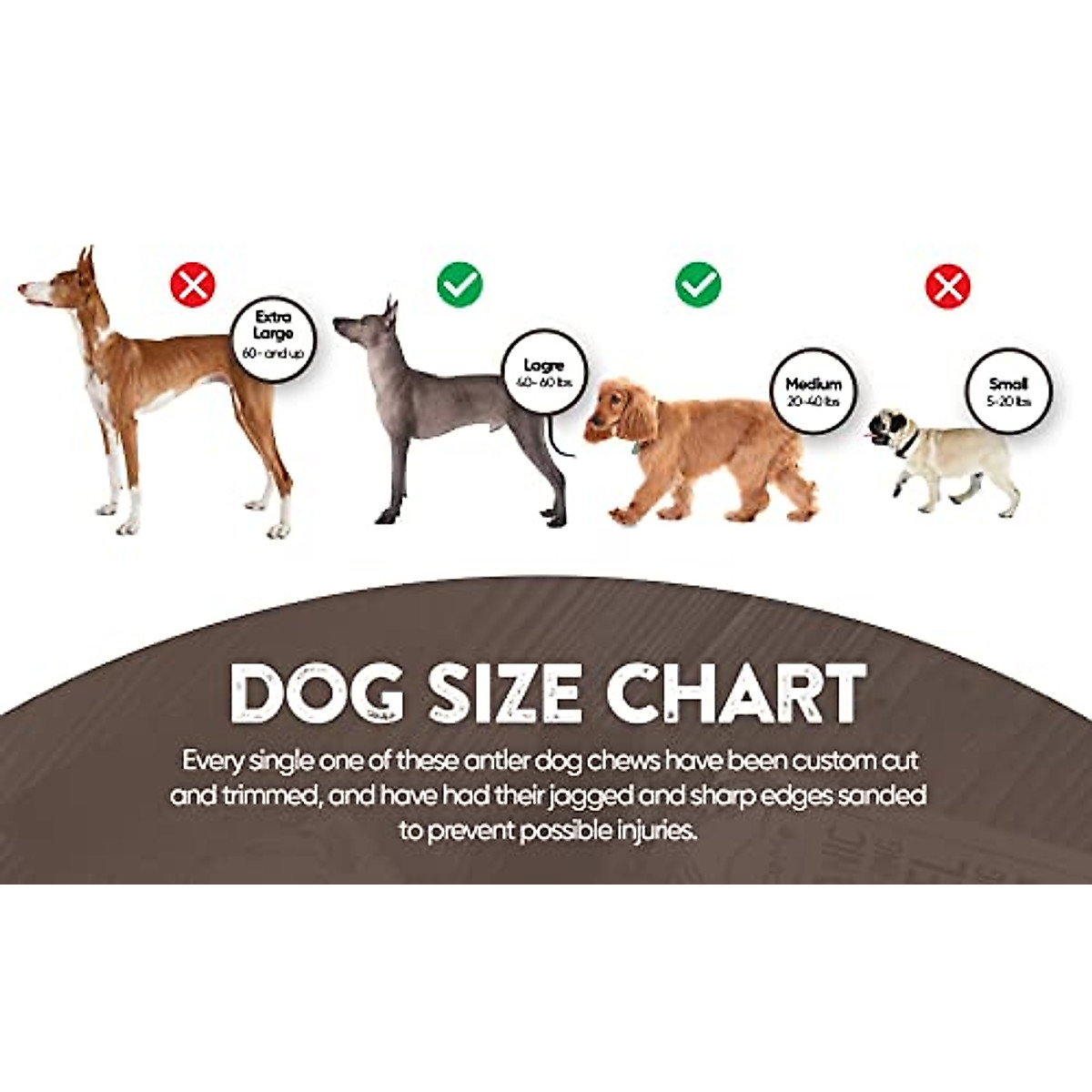 WhiteTail Naturals | Large, Whole Elk Antlers for Dogs | Dog Chews | Naturally Shed Antler Bone Chew Toy