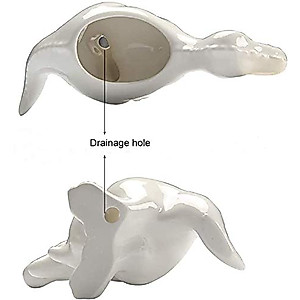 KiaoTime Dinosaur Shape White Ceramic Succulent Planters Pots Little Planter Flower Bonsai Dino Pots Vase Container Cactus Desktop Animal Decoration Pencil Holder Nursery Pots