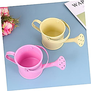 4 pcs Micro Toys Flower pots Outdoor Flowers Plants Decorative Watering can Garden Watering Bucket Cute Watering can with Long Mouth Spray Bottle jug Kettle Iron Bottle Happyyami