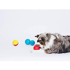 Pet Qwerks Animal Sounds Babble Ball - Interactive Chew Dog Toy - Small