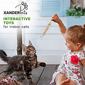 XanderPets Cat Chew Stick - Matatabi Stick for Cat - Silvervine Chew Sticks for Cats - Cat Dental Sticks w/Cat Nips Organic - All Breeds 3PK