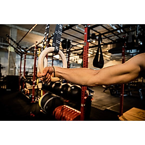 APEFIT Power Gymnastic Rings and Competition Straps | Quick Adjustment Carabiner | Anti-Theft Lock | Birch Rings | for Calisthenics, Gym & Bodyweight Training, PISP00120CARBRING