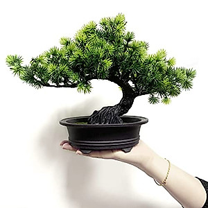 yoerm Fake Plants Plastic Artificial Bonsai Tree, Zen Garden Japanese Decor Bonsai for Home Office Desk Bedroom Farmhouse Room Decor, Tall 9.5"