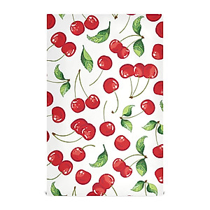 susiyo Red Cherry Fruits Kitchen Dish Towel, Set of 4 Pcs Soft Polyester Dish Cloth for Cooking Washing, 28 X 18 Inch