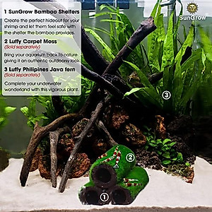 SunGrow Betta & Shrimp Ceramic Shelters, 2.8 x 1.8 x 0.6 Inches, Small Reptile & Lizard Hiding Cave Connected Tubes, Aquarium Decor