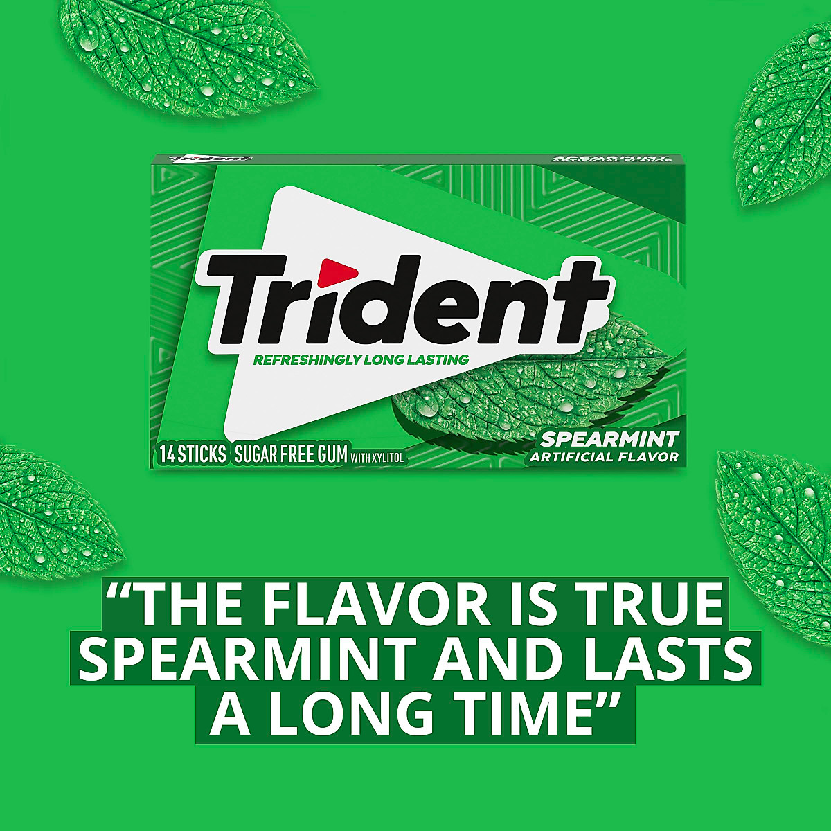 Trident Spearmint Sugar Free Gum, 12 Packs of 14 Pieces (168 Total Pieces)