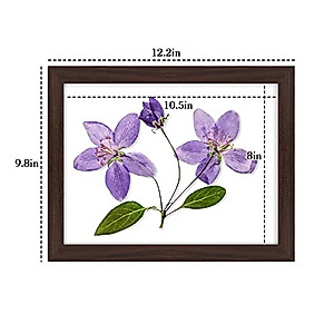 Frametory, 8.5x11 Picture Frame with Glass, Tabletop & Wall Horizontal or Vertical Display, 8 1/2 x 11 Photo Frame for Diploma, Documents (Brown, 1-Pack)