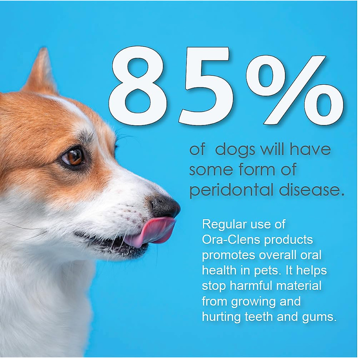 Ora-Clens Dog & Cat Oral Hygiene Rinse Effectively Reduces Plaque, freshens Breath, and eliminates Bad Breath and Dental Plaque at The Source (8 fl oz)