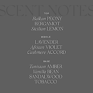 Antica Farmacista Home Ambiance Diffuser, Sandalwood Amber, 16.9 Fl Oz