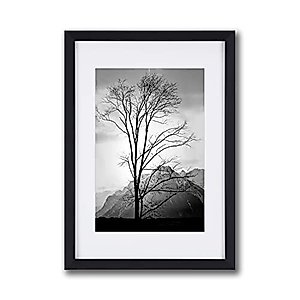 Tree Mountain Wall Art Black and White Landscape Picture Framed Canvas Print in White Matte and Black Framed 11x16 Inch Modern Artwork for Kitchen and Home or Living Room Decor