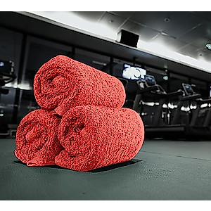 Utopia Towels 12 Pack Cotton Washcloths Set - 100% Ring Spun Cotton, Premium Quality Flannel Face Cloths, Highly Absorbent and Soft Feel Fingertip Towels (Coral)