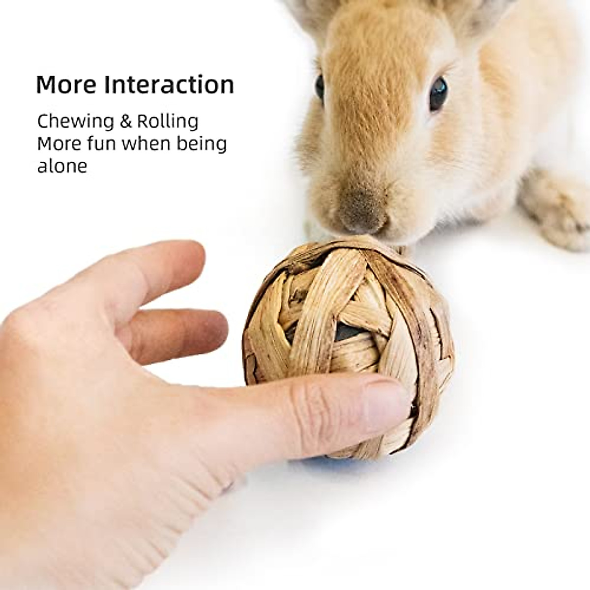 andwe Small Animals Play & Activity Balls Rolling Chew Toys for Rabbits Guinea Pigs Chinchilla