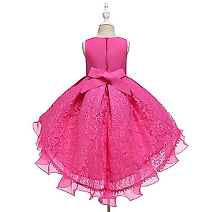 Flower Princess Girls Dress for Kids Wedding Bridesmaid First Communion Birthday Party Holiday Formal Prom Dance Evening Ball Gown Embroidery Lace Long Tutu Dresses Hot Pink 7-8 Years