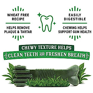 Dr. Dental Large Fresh Chews Dental Dog Treats Clear, Large-18 OZ