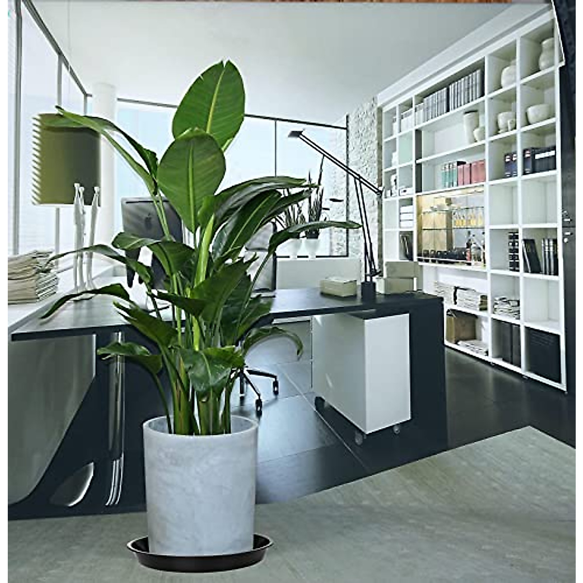 Angde 6 Pack of 14 inch Plant Saucer (12 Inch Base), Plant Tray 14 Inch Round, Plant Saucers for Indoors, Plant Trays for Pots, Plant Flower Pot Saucers, Pot Saucers for Planter 11-14" (Black)