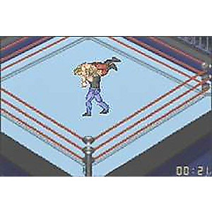 FirePro Wrestling - Game Boy Advance (Renewed)