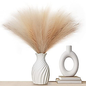 Mocoosy 6 PCS 3 Colors Faux Pampas Grass, 35"/89cm Tall Artificial Pompas Grass Feathers Decor, Fluffy 6 Stem Fake Bulrush Reeds Pompous Branches Vase Fillers Boho Farmhouse Decorations Beige Mixed