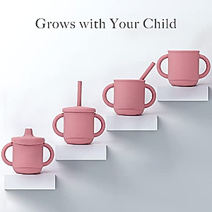Dilovely Silicone Sippy Cup for Toddler, Transition Straw Cups for baby 12 months +, 3 in 1 Training Sippy Cups for Babies with Two Handles, 2 Pack Dishwasher & Microwave Safe, BPA Free 7oz Pink