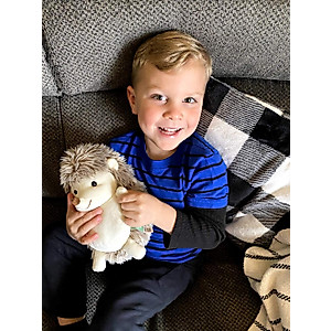 ANIMAL ISLAND AILA Sit & Play Hedgehog Plush Stuffed Animal Learning Companion